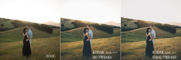 VSCO FILM 00 Review | Northern California Bay Area Sacramento Big Sur ...